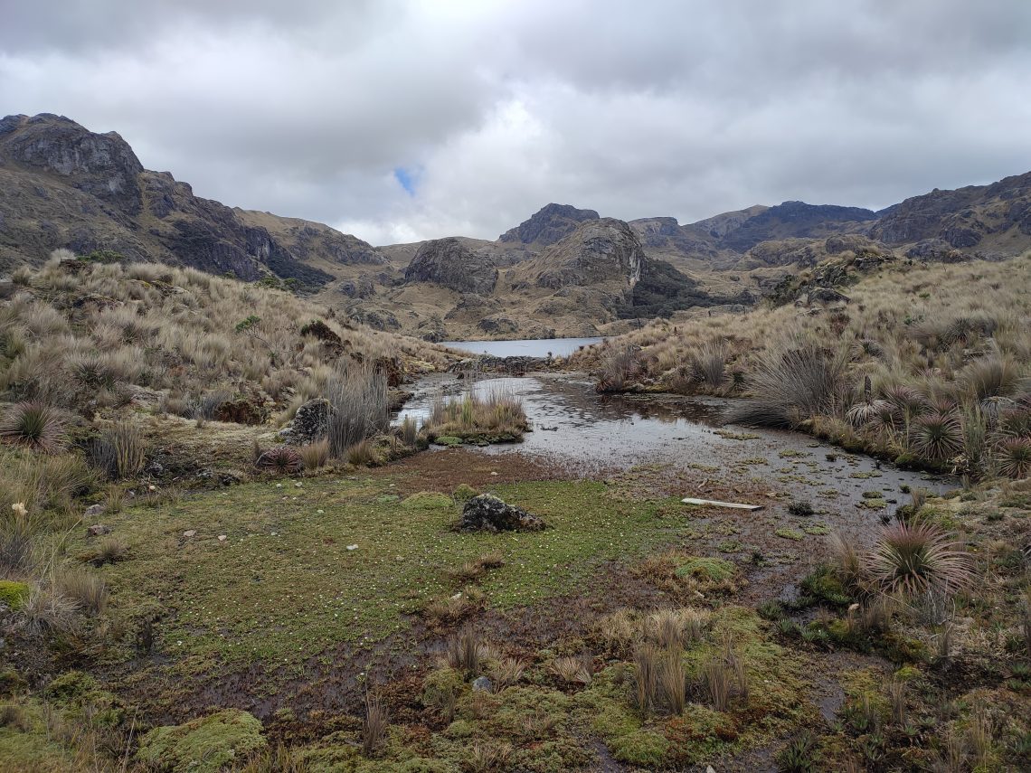 Parque Nacional Cajas: Mi Gran Guía Con Fotos Y Descripciones De ...
