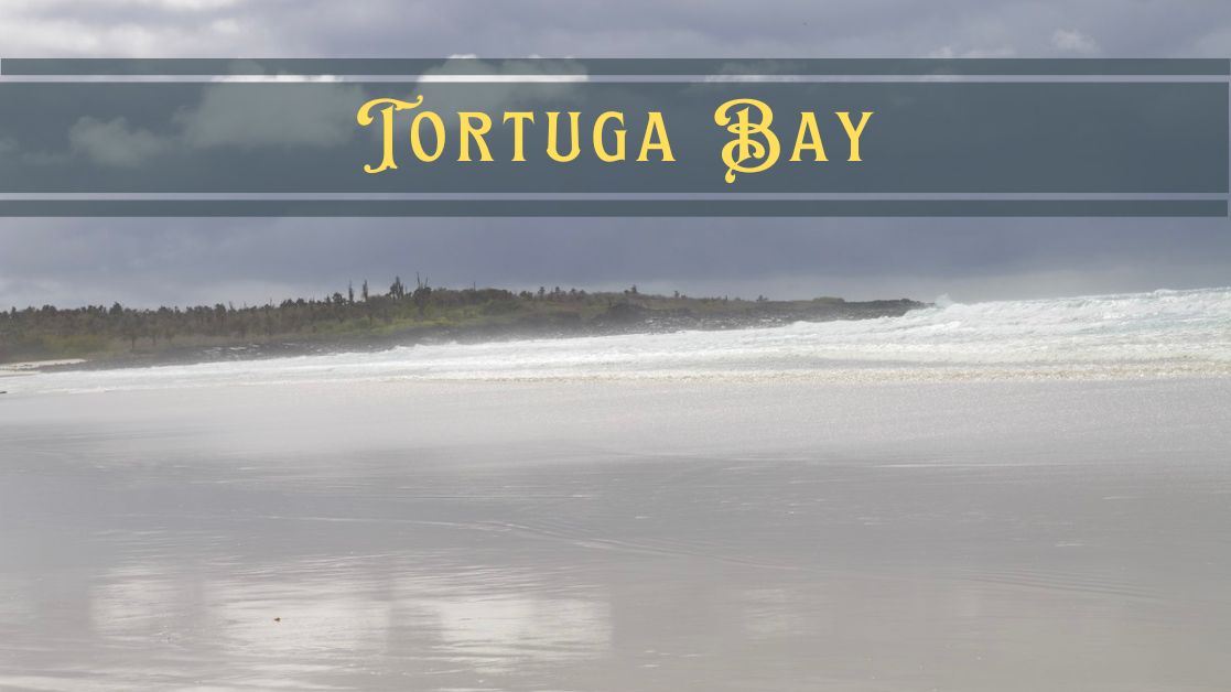 Visiting Tortuga Bay on Galapagos: The Most Stunning Beach! - My Trip ...