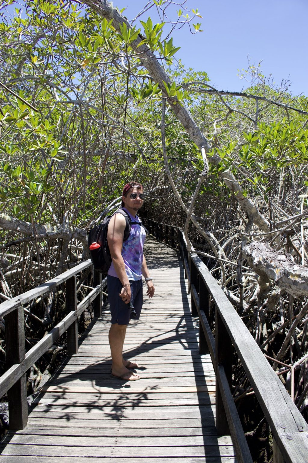 Buceo de superficie en Concha Perla, Isla Isabela, Galápagos - My Trip ...