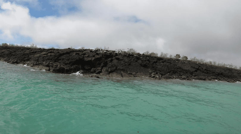 Lobos Island Tour in Galapagos - My Trip To Ecuador