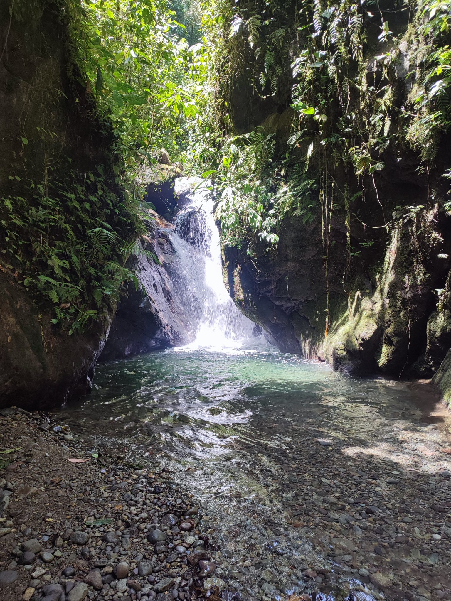 8 Top Things To Do in Mindo, Ecuador - My Trip To Ecuador