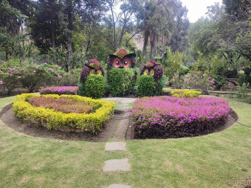 9 Top Things To Do in Ambato, Ecuador - My Trip To Ecuador