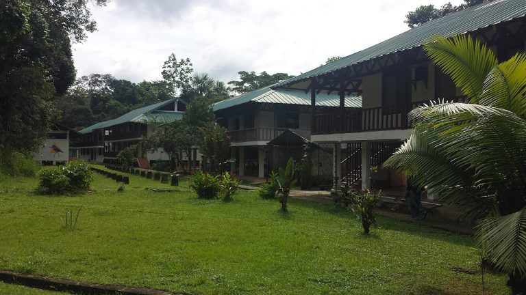 Yasuni National Park in Ecuador: Our Visiting Experience - My Trip To ...