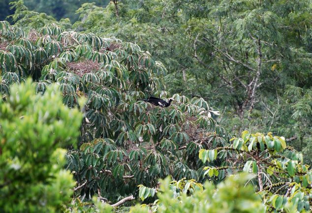 8 Top Things To Do in Tena, Ecuador - My Trip To Ecuador